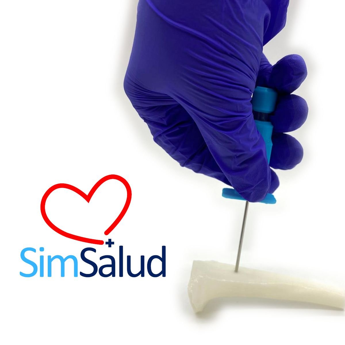 SimSalud - SIM-Kit Osteoclisis (1 Soporte, 2 Agujas + 1 Hueso ...